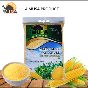 Musa Corn Meal (1)